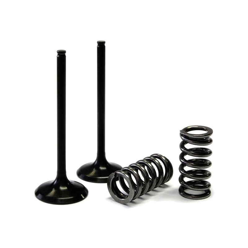 VÁLVULAS Y PASTILLAS DE REGLAJE : KIT VALVULAS DE ESCAPE CON MUELLES ...